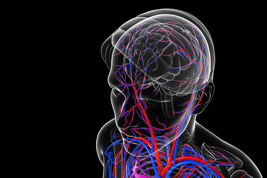 Especialista Neurovascular Principais Doenças e Tratamentos O que faz ...